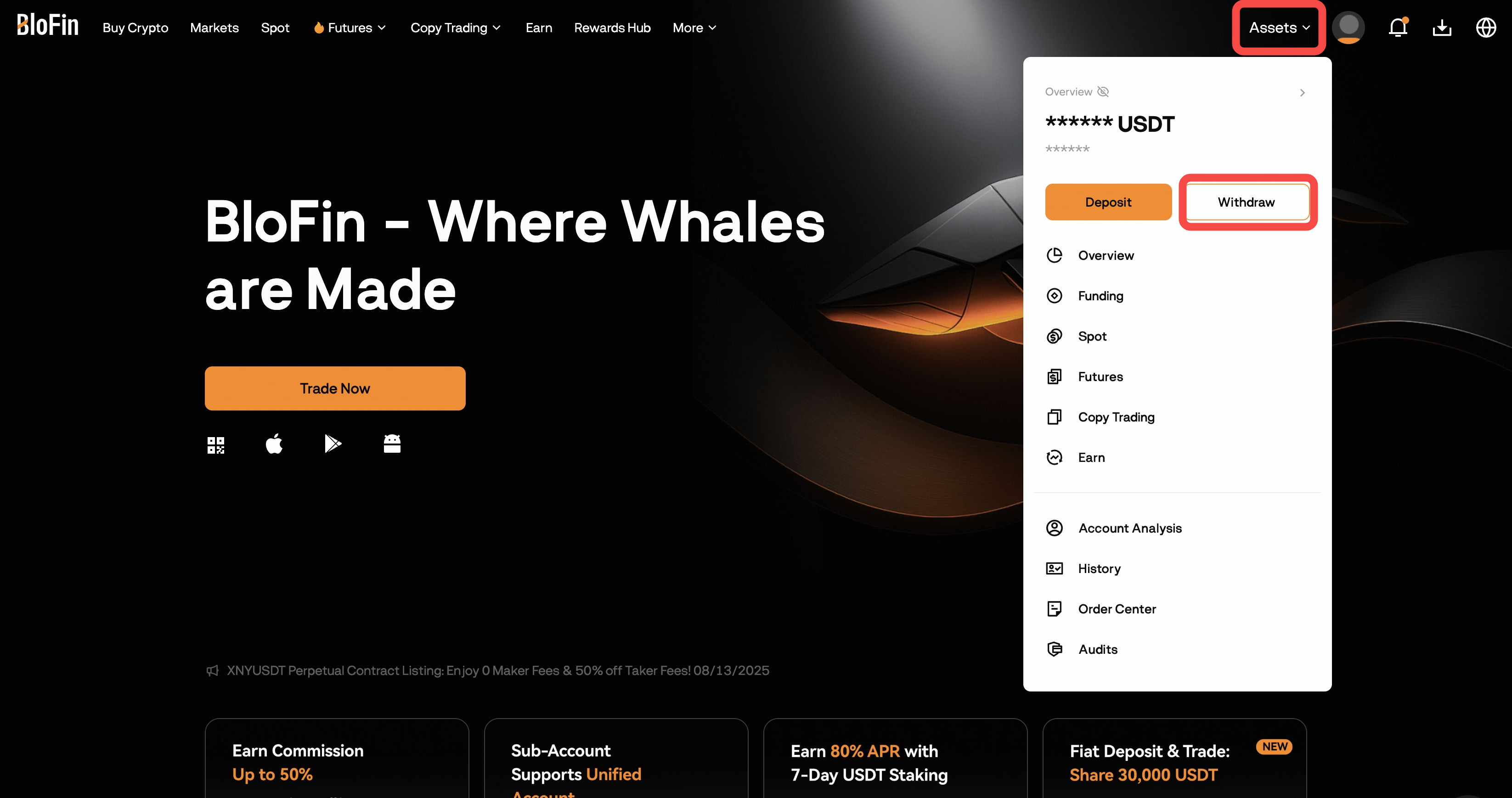 How Much Are The Withdrawal Fees? – Help Center
