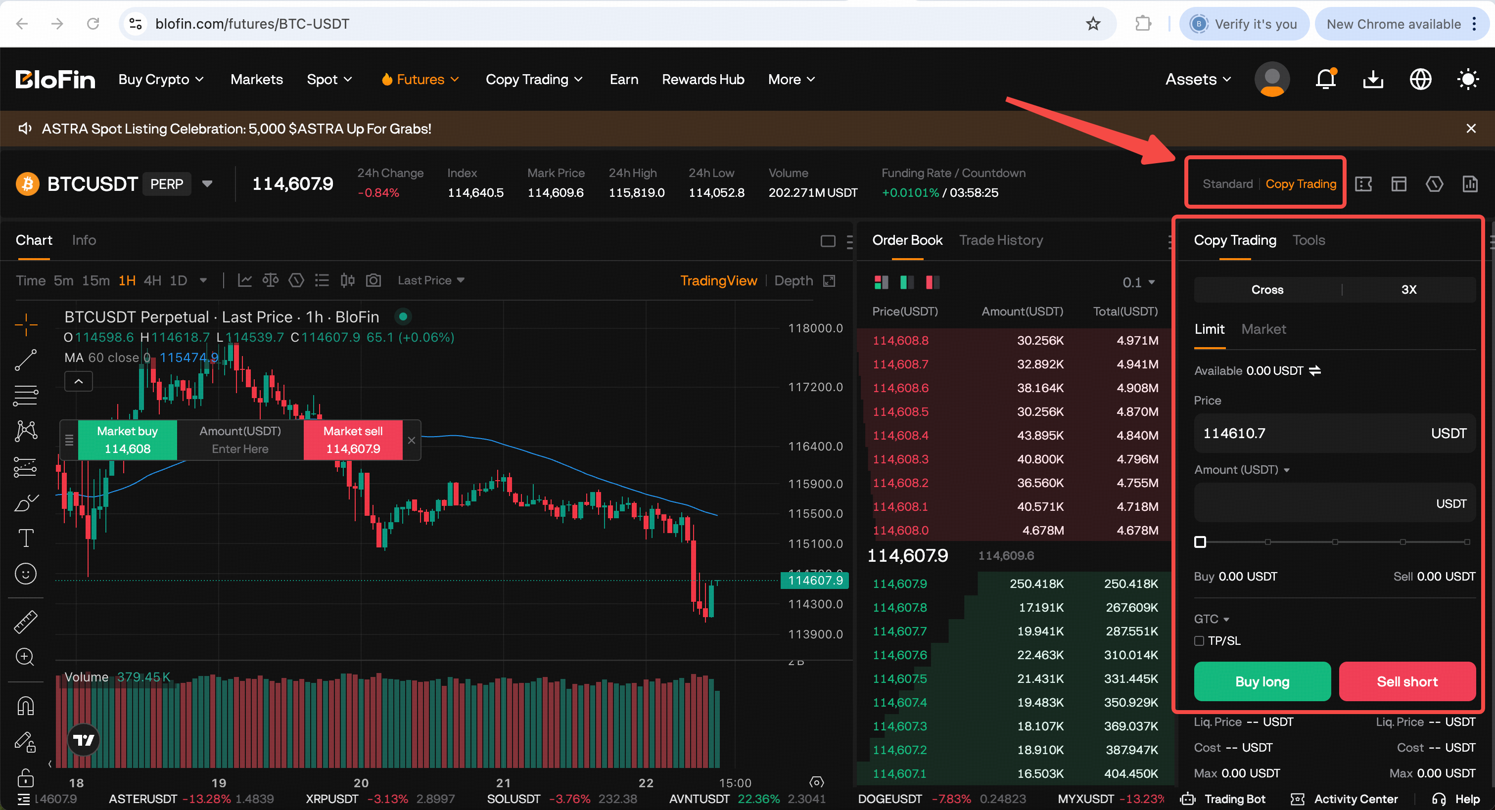 Trader: Step-by-Step Guide: How to Become a Lead Trader & Complete Your First Copy Trade – Help ...